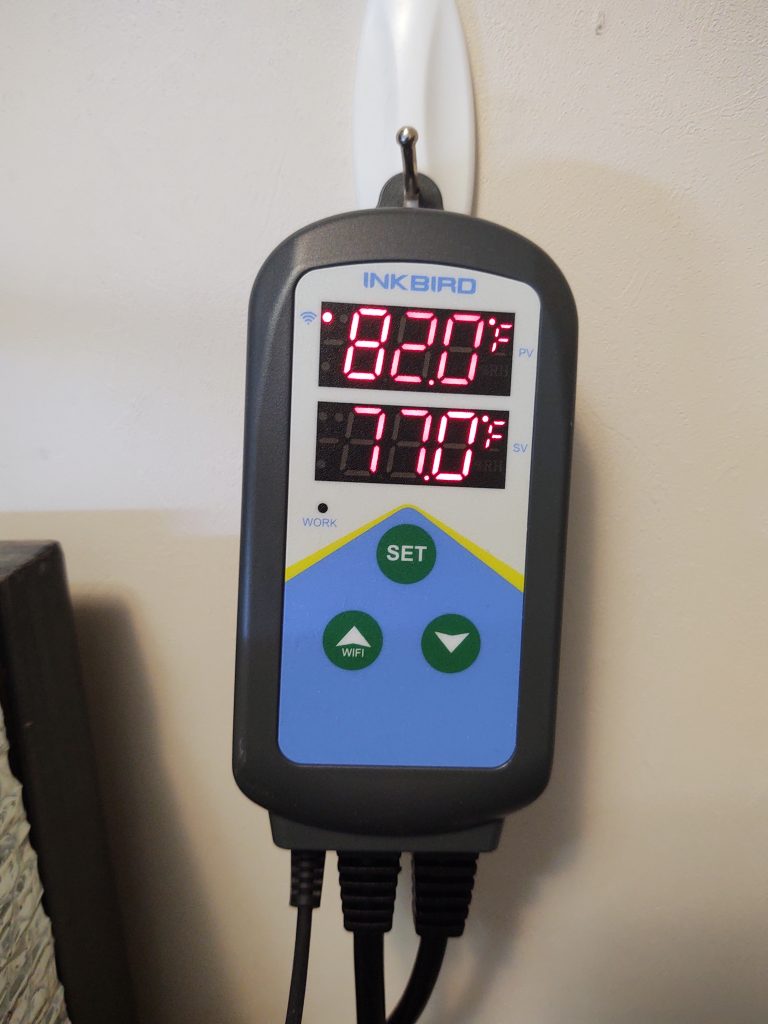Inkbird Temperature Controller Review – Land Hermit Crab Owners Society